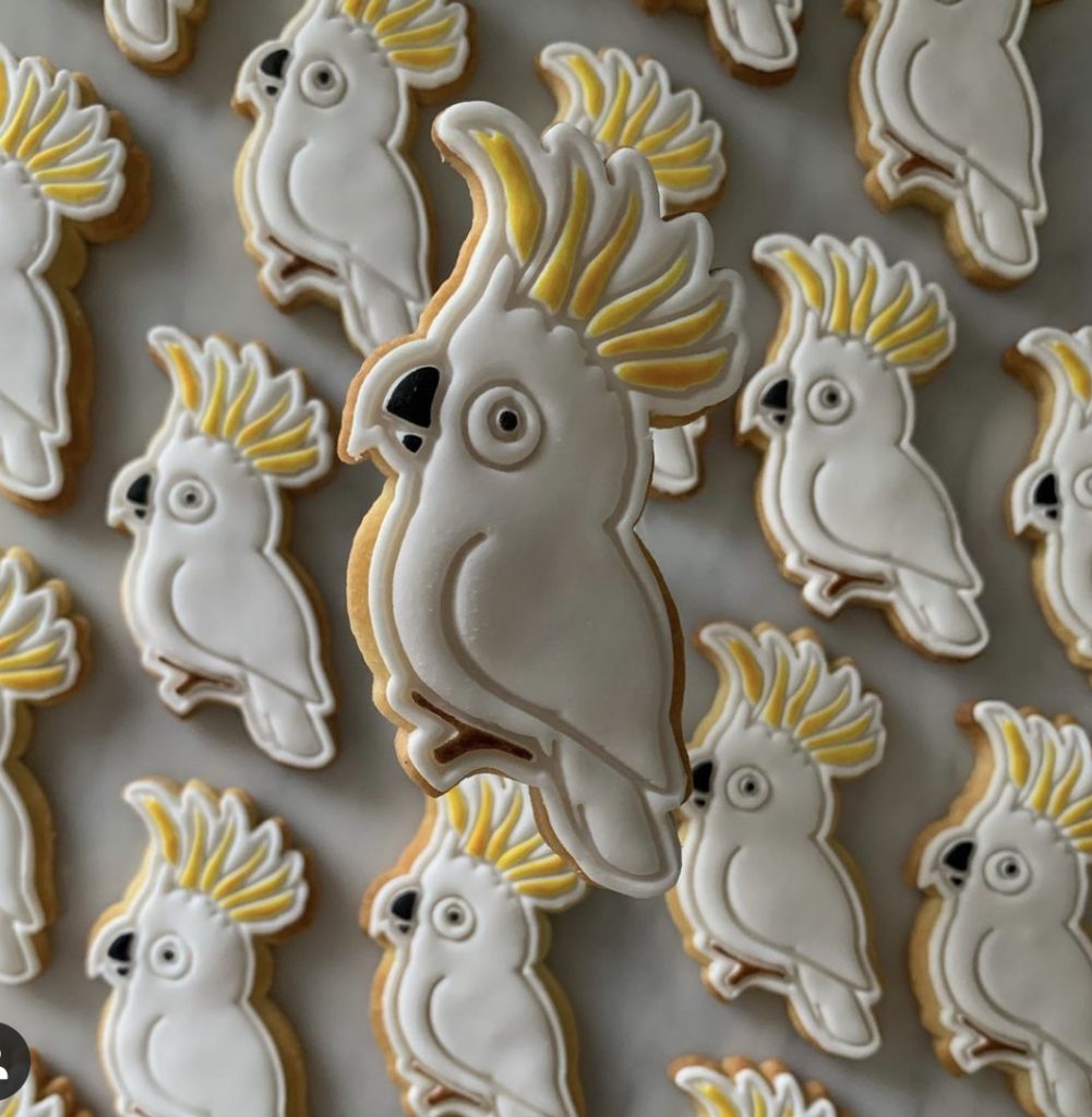 Cocky the cockatoo - Little Cookie Tribe